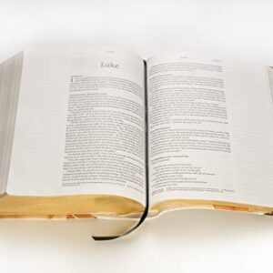 NLT Wide Margin Bible, Filament Enabled (LeatherLike, Autumn Leaves, Red Letter): DaySpring Signature Collection