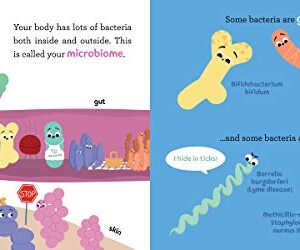 Baby Medical School: Bacteria and Antibiotics: A Human Body Science Book for Kids (Science Gifts for Kids, Nurse Gifts, Doctor Gifts, Back to School Gifts and Supplies for Kids) (Baby University)