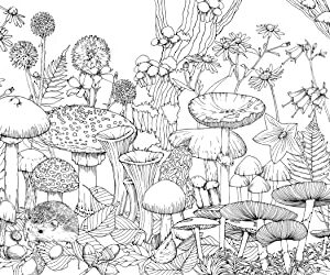 Garden of Fairytale Animals: A Curious Collection of Creatures to Color (Design Originals) Adult Coloring Book with 66 Line Art Designs of a Magical Garden and Whimsical Animals in a Charming Setting