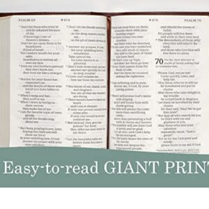 NLT Compact Giant Print Bible, Filament Enabled (LeatherLike, Navy Blue Cross, Red Letter)