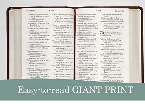 NLT Compact Giant Print Bible, Filament Enabled (LeatherLike, Navy Blue Cross, Red Letter)