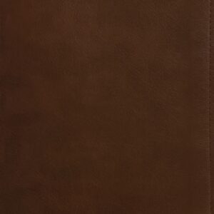 NLT Thinline Reference Bible, Filament Enabled (LeatherLike, Rustic Brown): Includes Free Access to the Filament Bible App Delivering Study Notes, Devotionals, Worship Music, and Video