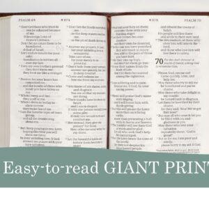 NLT Compact Giant Print Bible, Filament Enabled (LeatherLike, Mahogany Celtic Cross, Red Letter)