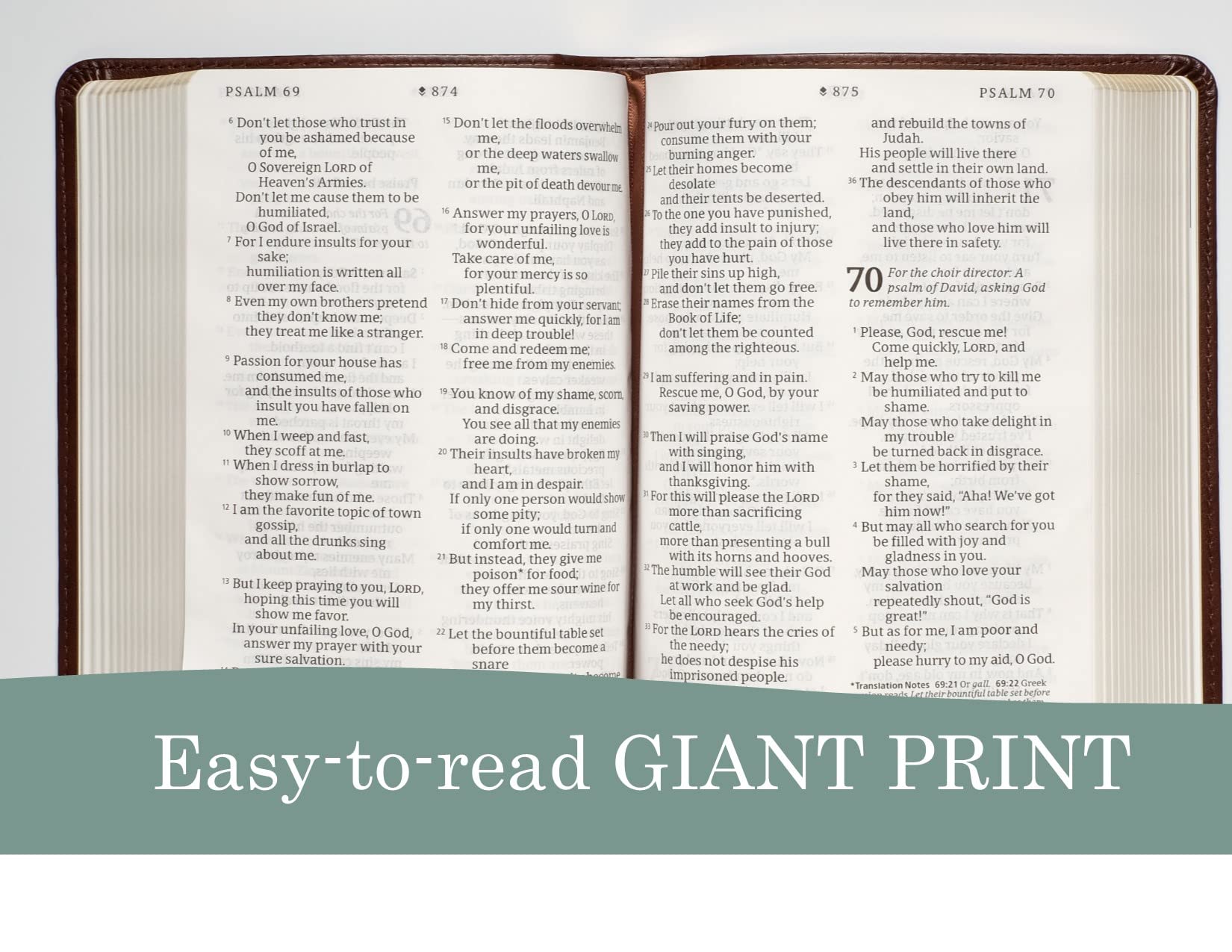 NLT Compact Giant Print Bible, Filament Enabled (LeatherLike, Mahogany Celtic Cross, Red Letter)