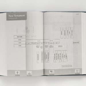 NLT One Year Chronological Study Bible (Softcover)