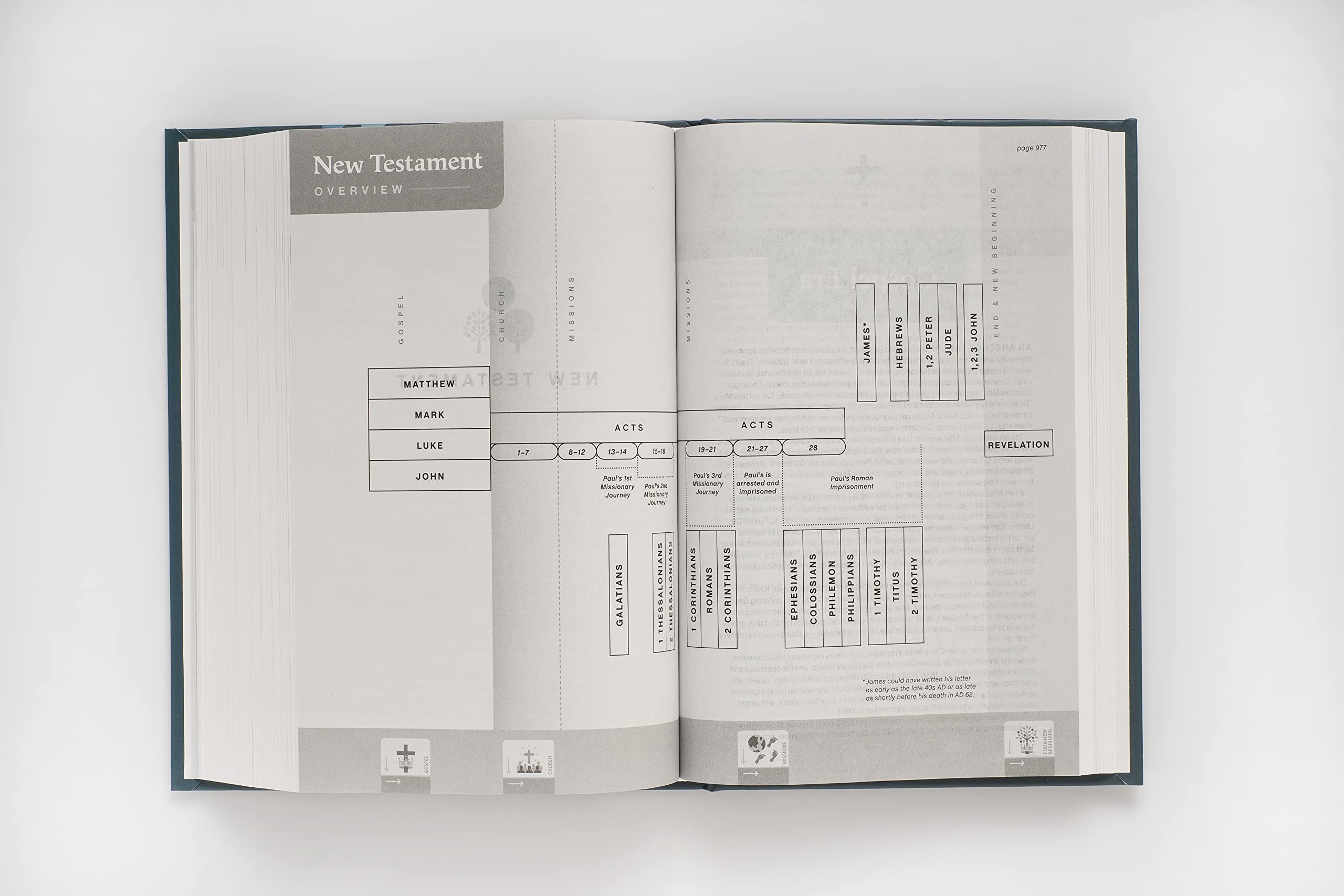 NLT One Year Chronological Study Bible (Softcover)