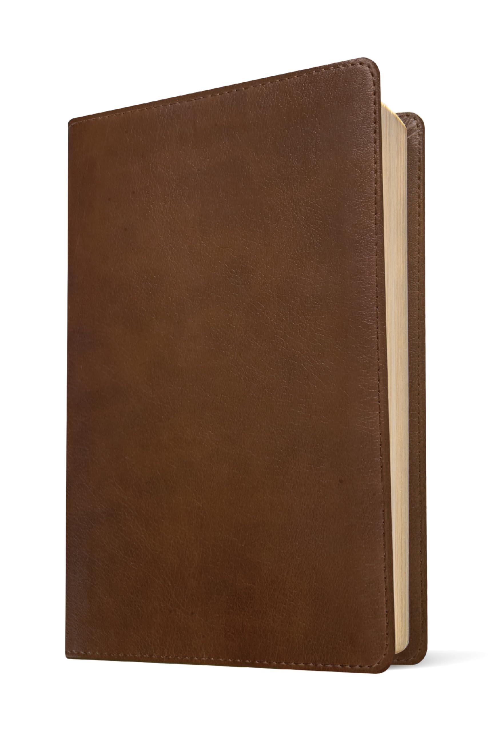 NLT Thinline Reference Bible, Filament Enabled (LeatherLike, Rustic Brown): Includes Free Access to the Filament Bible App Delivering Study Notes, Devotionals, Worship Music, and Video