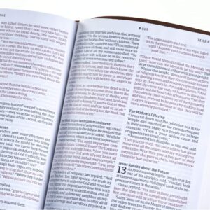 NLT Thinline Reference Bible, Filament Enabled (LeatherLike, Rustic Brown): Includes Free Access to the Filament Bible App Delivering Study Notes, Devotionals, Worship Music, and Video