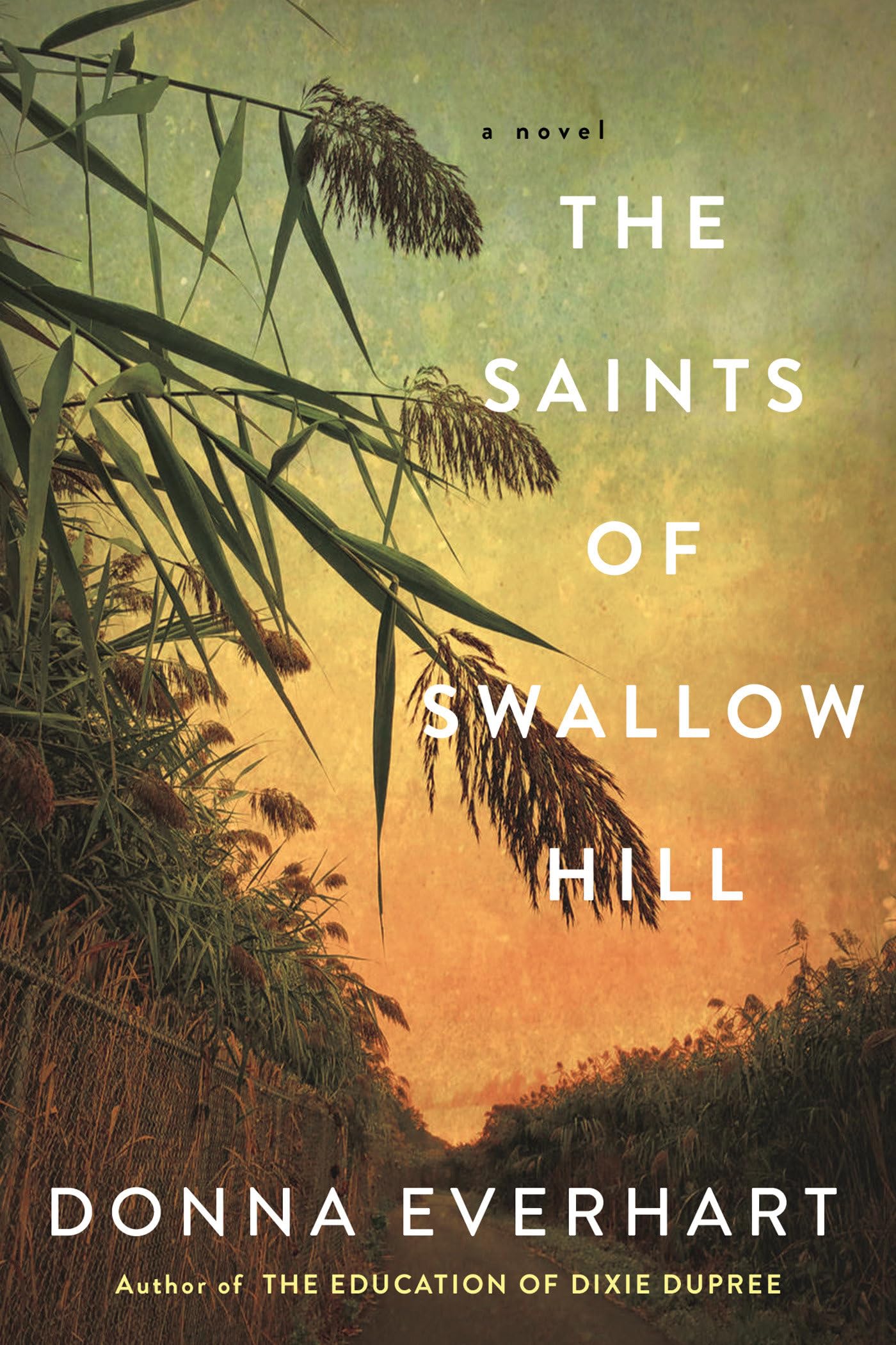 The Saints of Swallow Hill: A Fascinating Depression Era Historical Novel