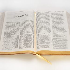 NLT Super Giant Print Bible, Filament Enabled (LeatherLike, Blush Floral, Red Letter): DaySpring Signature Collection