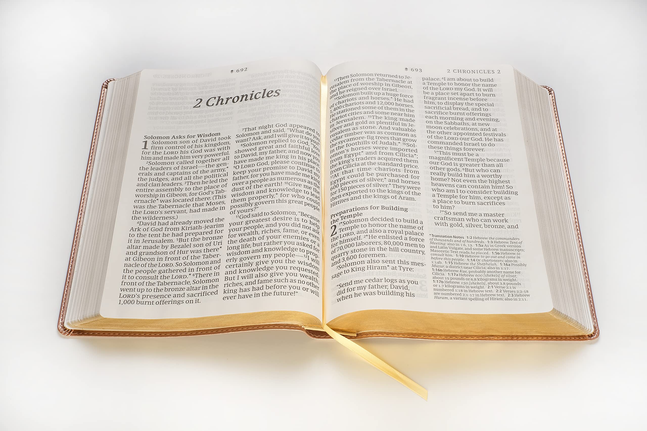 NLT Super Giant Print Bible, Filament Enabled (LeatherLike, Blush Floral, Red Letter): DaySpring Signature Collection