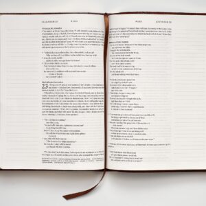 NLT Wide Margin Bible, Filament Enabled (LeatherLike, Dark Brown Palm, Red Letter)