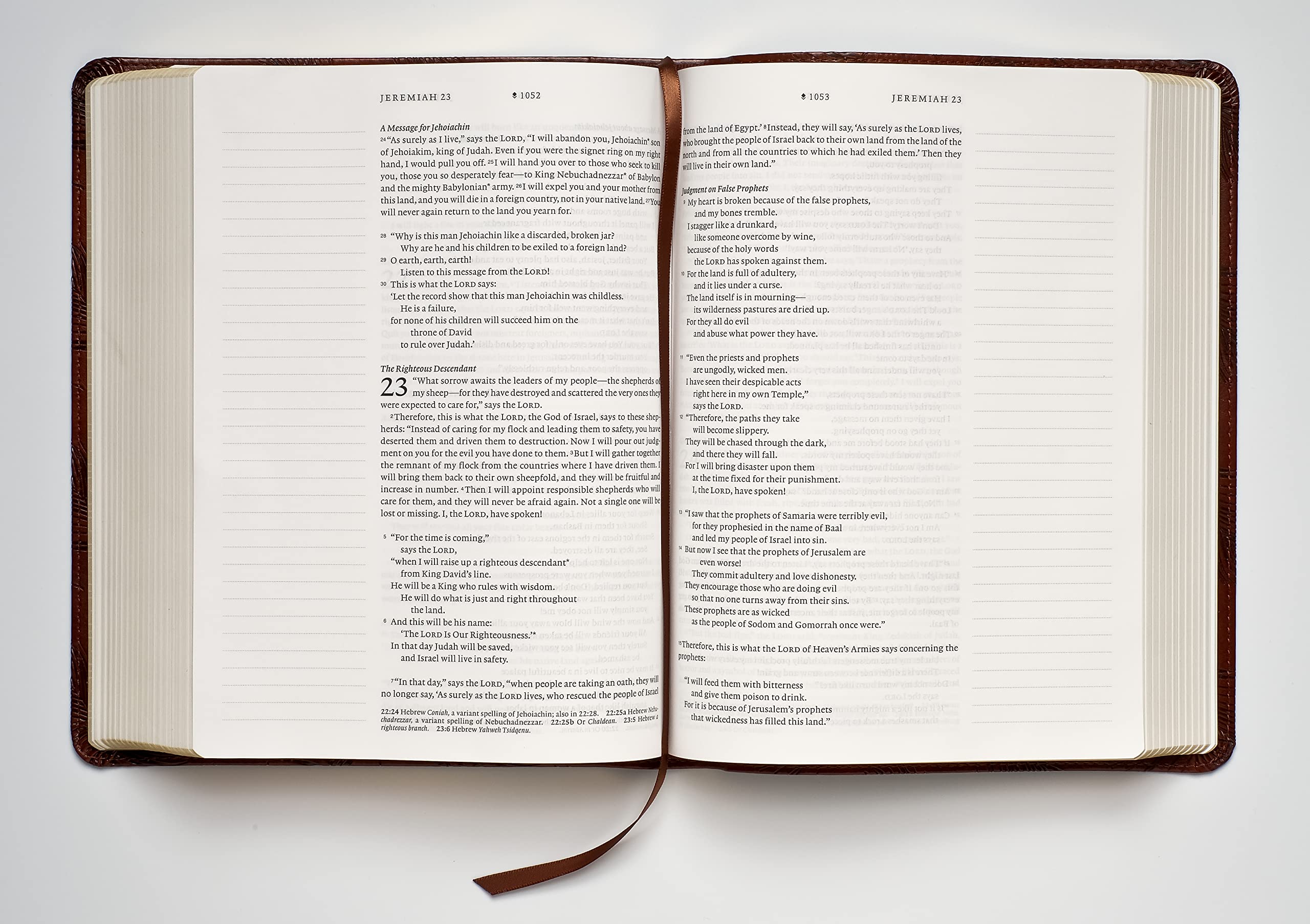 NLT Wide Margin Bible, Filament Enabled (LeatherLike, Dark Brown Palm, Red Letter)