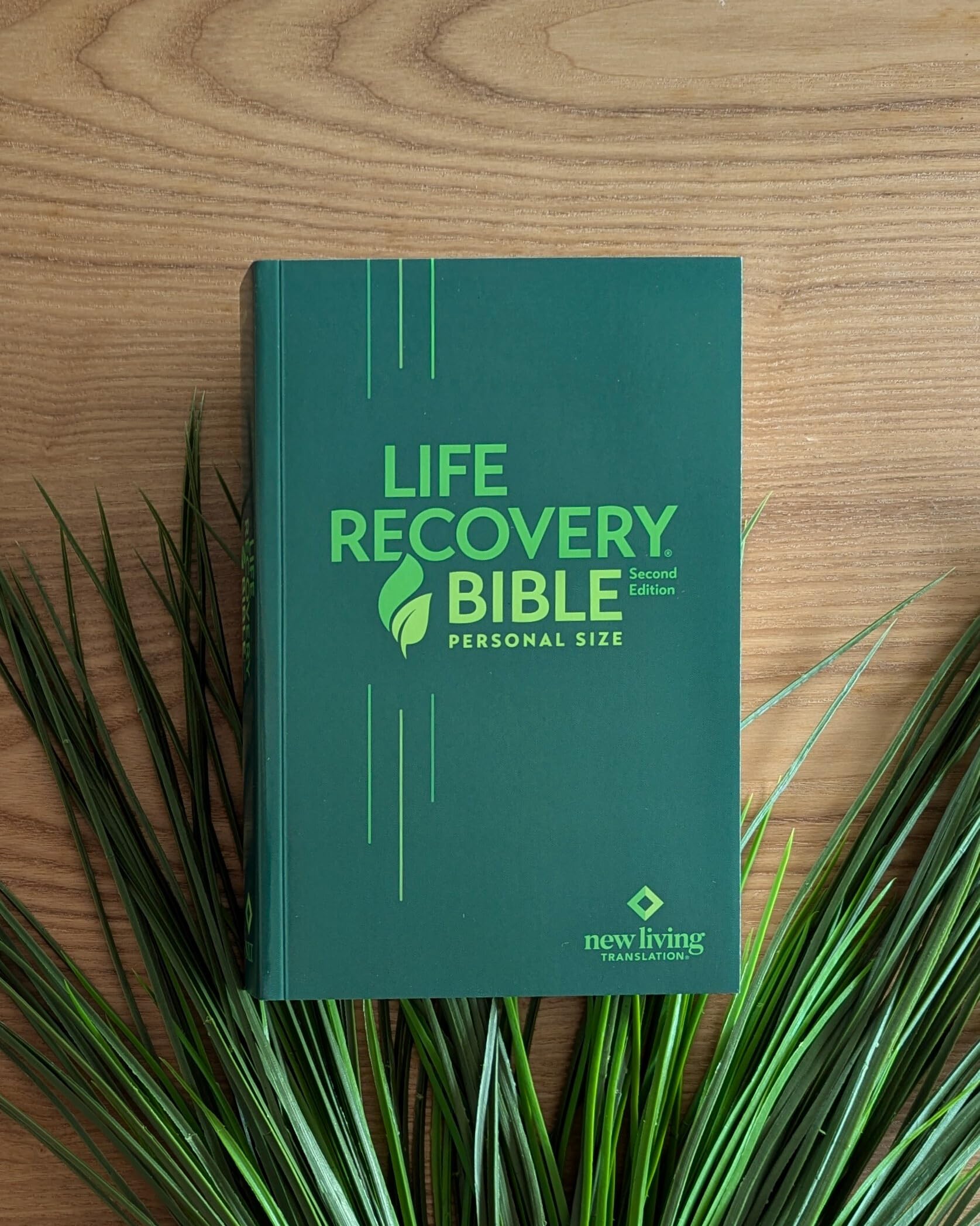 NLT Life Recovery Bible, Second Edition, Personal Size (Softcover): Addiction Bible Tied to 12 Steps of Recovery for Help with Drugs, Alcohol, Personal Struggles - With Meeting Guide