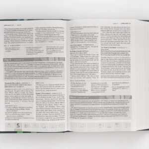 NLT One Year Chronological Study Bible (Softcover)