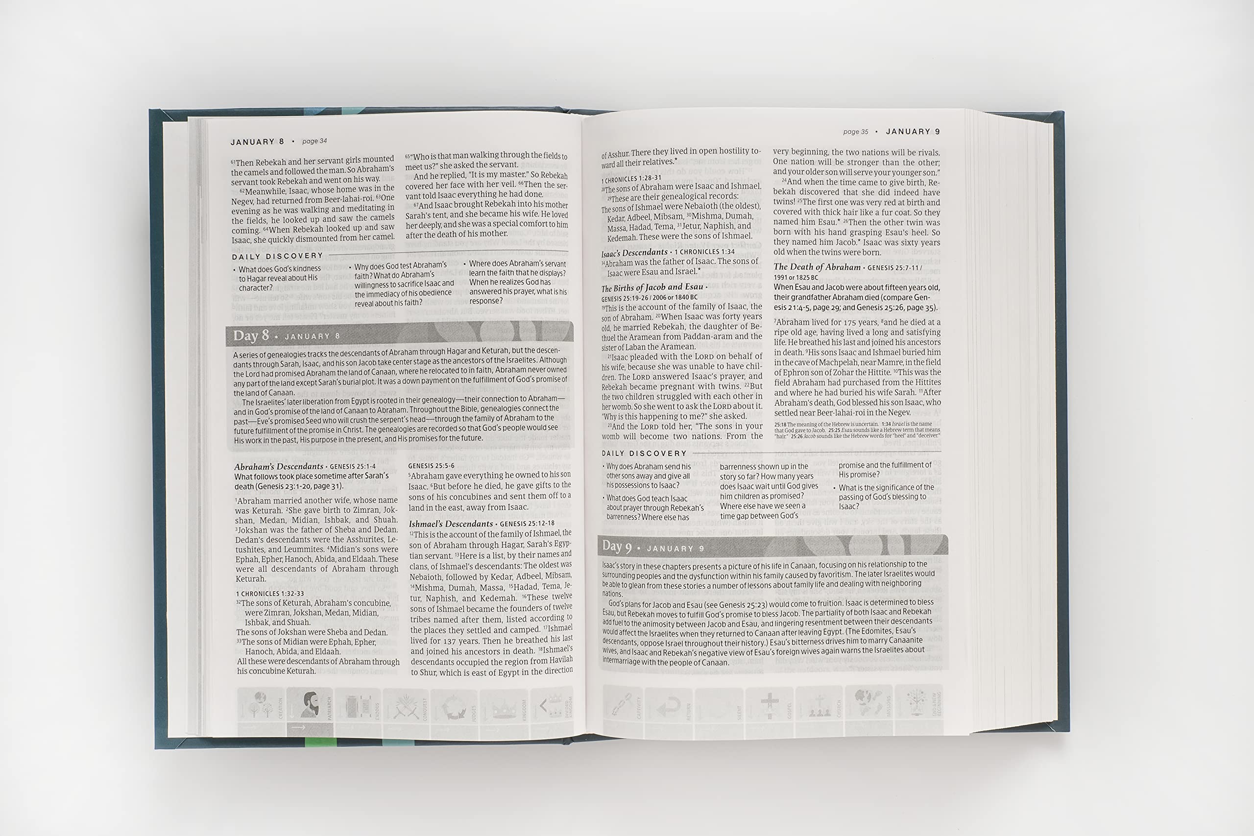 NLT One Year Chronological Study Bible (Softcover)