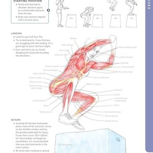 New Anatomy for Strength & Fitness Training: An Illustrated Guide to Your Muscles in Action Including Exercises Used in CrossFit (R), P90X (R), and Other Popular Fitness Programs (IMM Lifestyle Books)