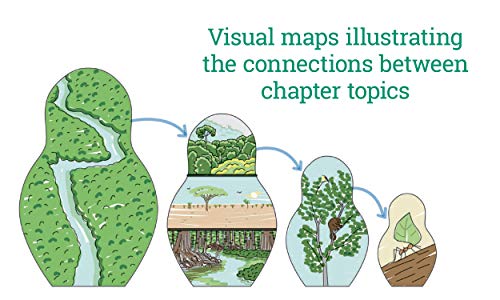 Visual Learning: Biology: An illustrated guide for all ages (Barron's Visual Learning)