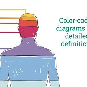 Visual Learning: Biology: An illustrated guide for all ages (Barron's Visual Learning)