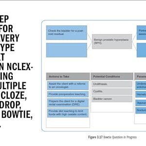 Next Generation NCLEX-PN Prep 2023-2024: Practice Test + Proven Strategies (Kaplan Test Prep)