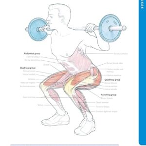 New Anatomy for Strength & Fitness Training: An Illustrated Guide to Your Muscles in Action Including Exercises Used in CrossFit (R), P90X (R), and Other Popular Fitness Programs (IMM Lifestyle Books)