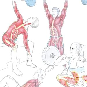 New Anatomy for Strength & Fitness Training: An Illustrated Guide to Your Muscles in Action Including Exercises Used in CrossFit (R), P90X (R), and Other Popular Fitness Programs (IMM Lifestyle Books)