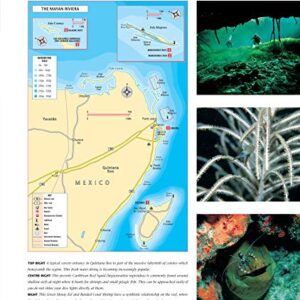 Dive Atlas of the World: An Illustrated Reference to the Best Sites (IMM Lifestyle Books) A Global Tour of Wrecks, Walls, Caves, and Blue Holes from Lawson Reef to the Red Sea to the Great Barrier