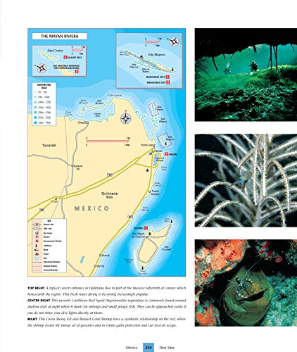 Dive Atlas of the World: An Illustrated Reference to the Best Sites (IMM Lifestyle Books) A Global Tour of Wrecks, Walls, Caves, and Blue Holes from Lawson Reef to the Red Sea to the Great Barrier