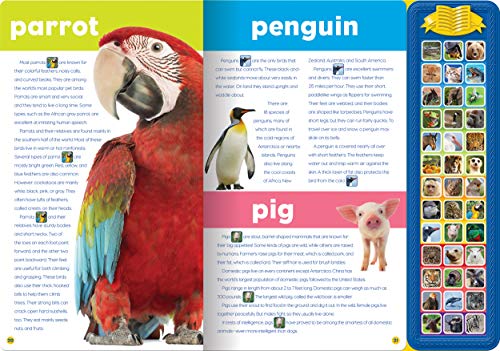 Encyclopaedia Britannica Kids - Animal Sound Storybook Treasury 39-Button Sound Book - PI Kids