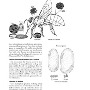 The Beekeeper's Handbook