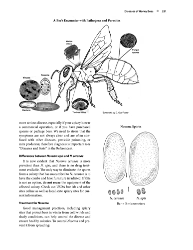 The Beekeeper's Handbook