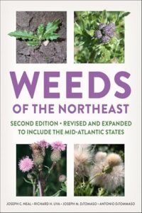 weeds of the northeast