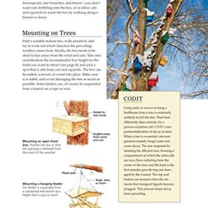 Birdhouses, Boxes & Feeders for the Backyard Hobbyist: 19 Fun-to-Build Projects for Attracting Birds to Your Backyard (Fox Chapel Publishing) Step-by-Step Suet Feeders, Nest Boxes, Bat Boxes, and More