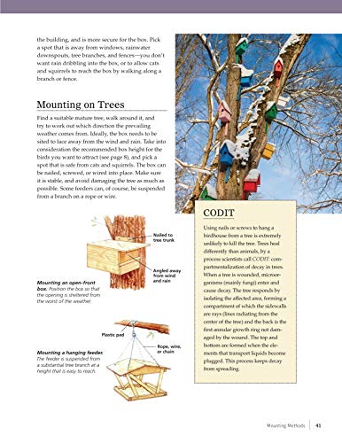 Birdhouses, Boxes & Feeders for the Backyard Hobbyist: 19 Fun-to-Build Projects for Attracting Birds to Your Backyard (Fox Chapel Publishing) Step-by-Step Suet Feeders, Nest Boxes, Bat Boxes, and More