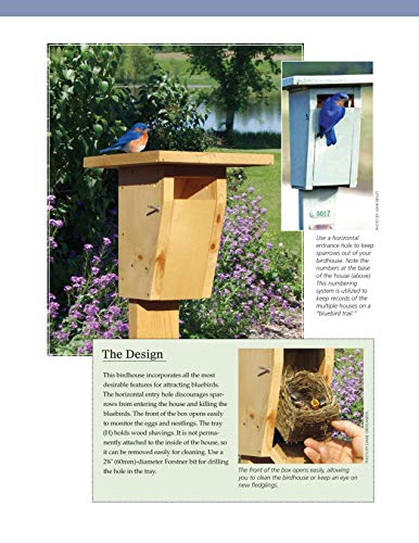 Birdhouses, Boxes & Feeders for the Backyard Hobbyist: 19 Fun-to-Build Projects for Attracting Birds to Your Backyard (Fox Chapel Publishing) Step-by-Step Suet Feeders, Nest Boxes, Bat Boxes, and More