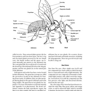 The Beekeeper's Handbook