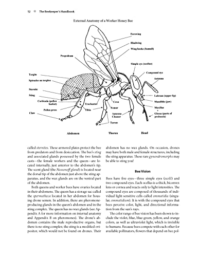 The Beekeeper's Handbook