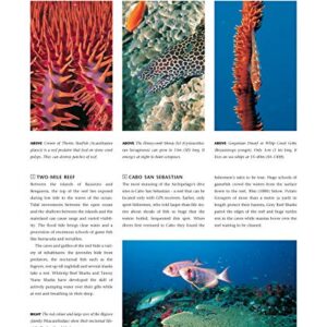 Dive Atlas of the World: An Illustrated Reference to the Best Sites (IMM Lifestyle Books) A Global Tour of Wrecks, Walls, Caves, and Blue Holes from Lawson Reef to the Red Sea to the Great Barrier