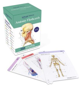 anatomy flashcards: 300 flashcards with anatomically precise drawings and exhaustive descriptions + 10 customizable bonus cards and sorting ring for custom study