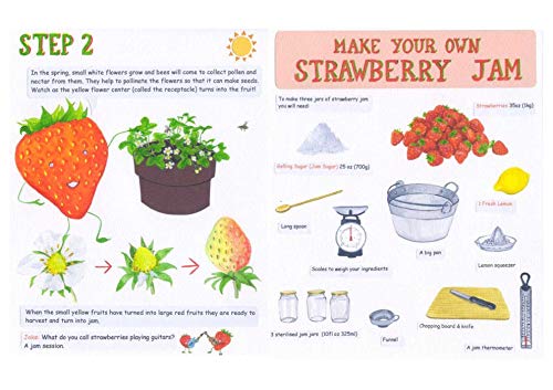 Jam and Jelly: A Step-by-Step Kids Gardening and Cookbook (Grow Your Own Ingredients)