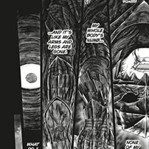 Berserk Deluxe Volume 13 (Berserk, 13)