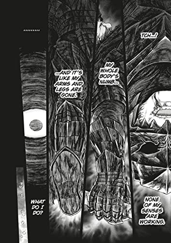 Berserk Deluxe Volume 13 (Berserk, 13)