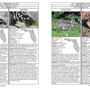 Florida Wildlife Encyclopedia: An Illustrated Guide to Birds, Fish, Mammals, Reptiles, and Amphibians