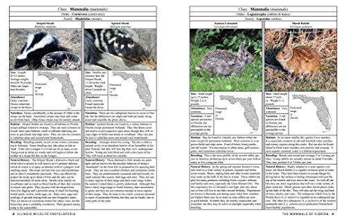 Florida Wildlife Encyclopedia: An Illustrated Guide to Birds, Fish, Mammals, Reptiles, and Amphibians