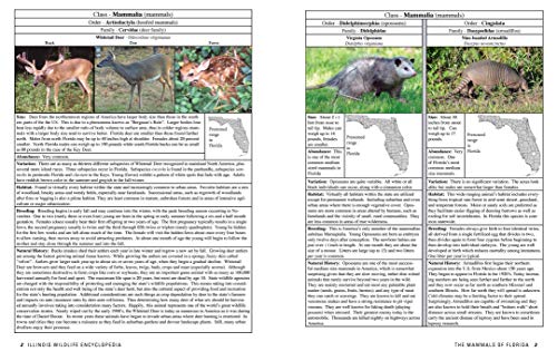 Florida Wildlife Encyclopedia: An Illustrated Guide to Birds, Fish, Mammals, Reptiles, and Amphibians