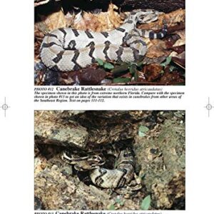 U.S. Guide to Venomous Snakes and Their Mimics