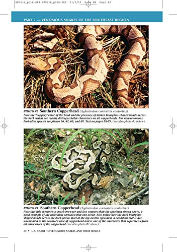 U.S. Guide to Venomous Snakes and Their Mimics