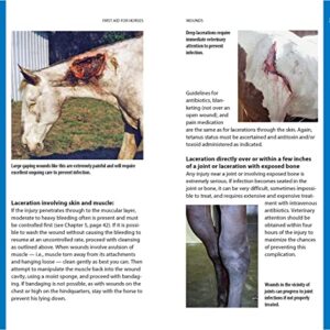 Dr. Kellon's Guide to First Aid for Horses: A Quick and Easy Reference to Conditions That Require Emergency Treatment