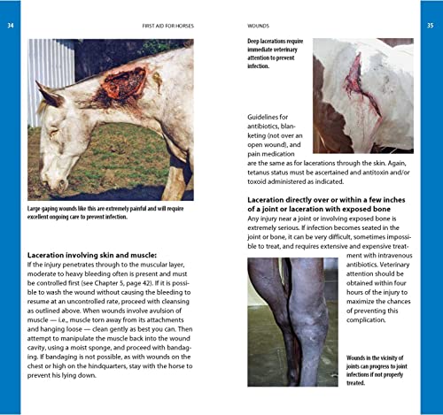 Dr. Kellon's Guide to First Aid for Horses: A Quick and Easy Reference to Conditions That Require Emergency Treatment