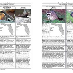 Florida Wildlife Encyclopedia: An Illustrated Guide to Birds, Fish, Mammals, Reptiles, and Amphibians